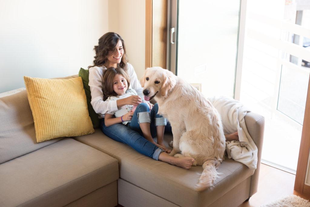 Street Savvy Dog Rescue – Rescue Your Rescue